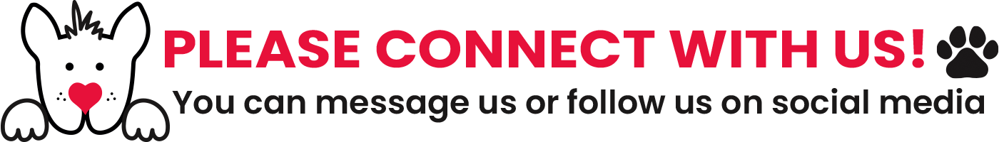 Home | Clymping Dog Sanctuary